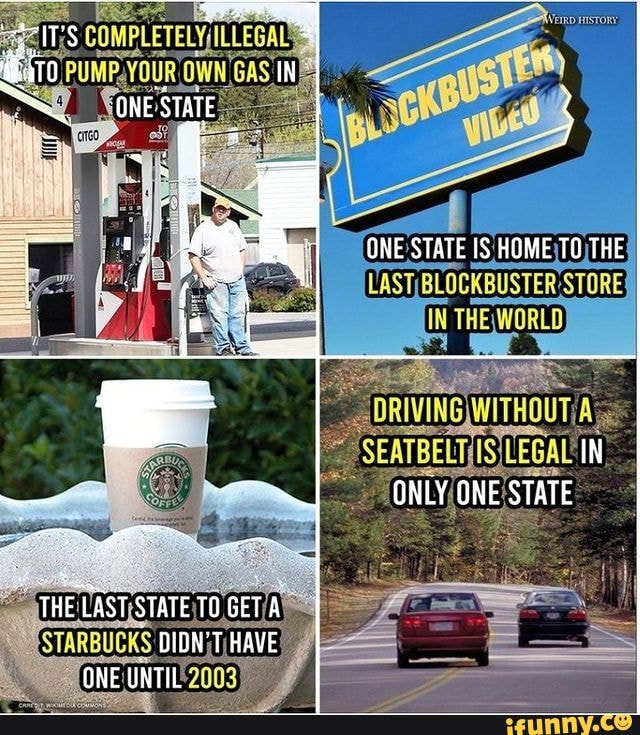 Bloomers memes. Best Collection of funny Bloomers pictures on iFunny