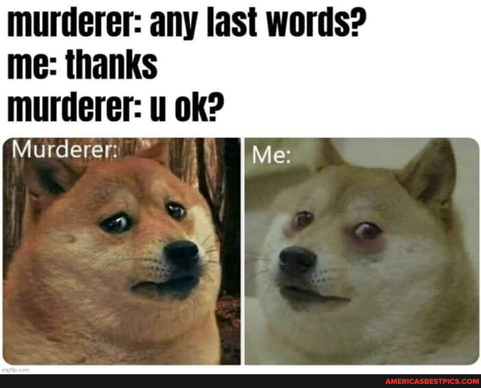 Murderer: any last words? me: thanks murderer: ok? Murderer: - America ...