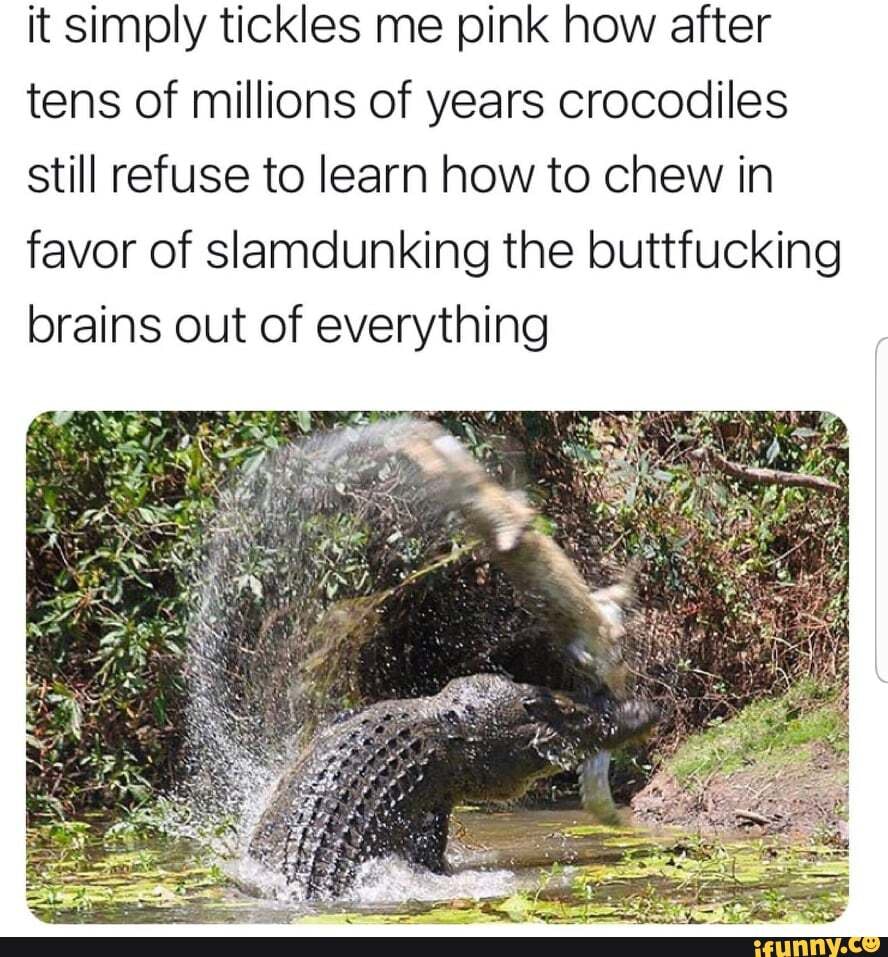 Ornery memes. Best Collection of funny Ornery pictures on iFunny