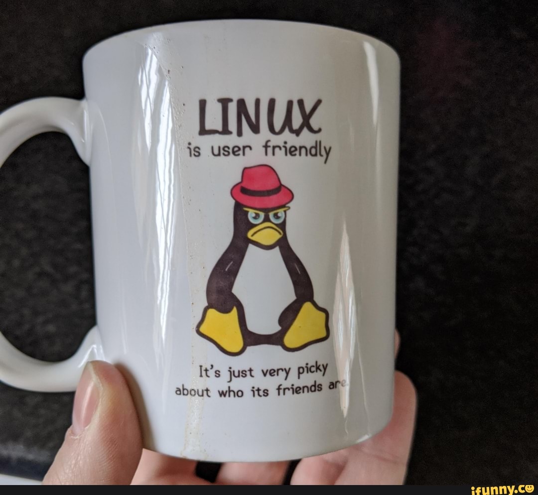 LINUX is user friendly It's just very picky about who friends df DA Y ...
