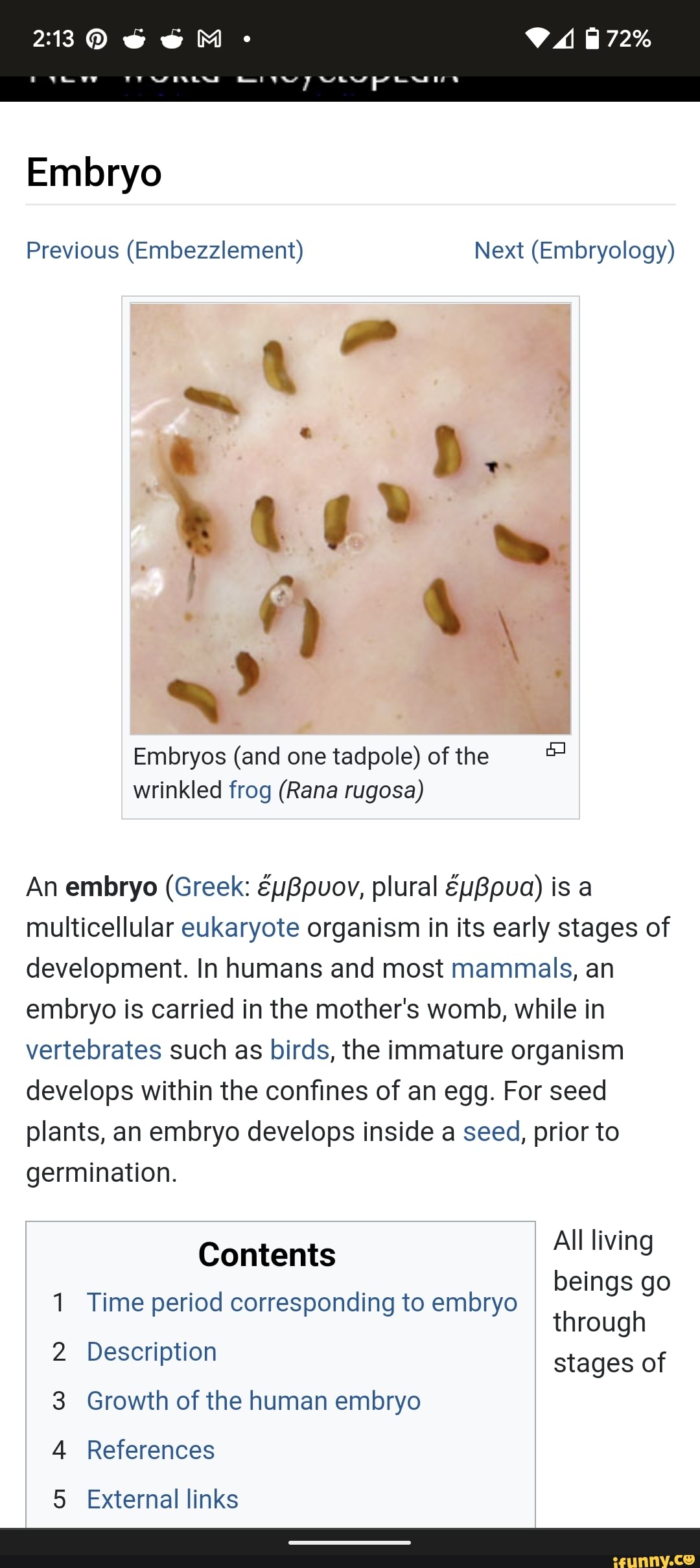 Eukaryote memes. Best Collection of funny Eukaryote pictures on iFunny