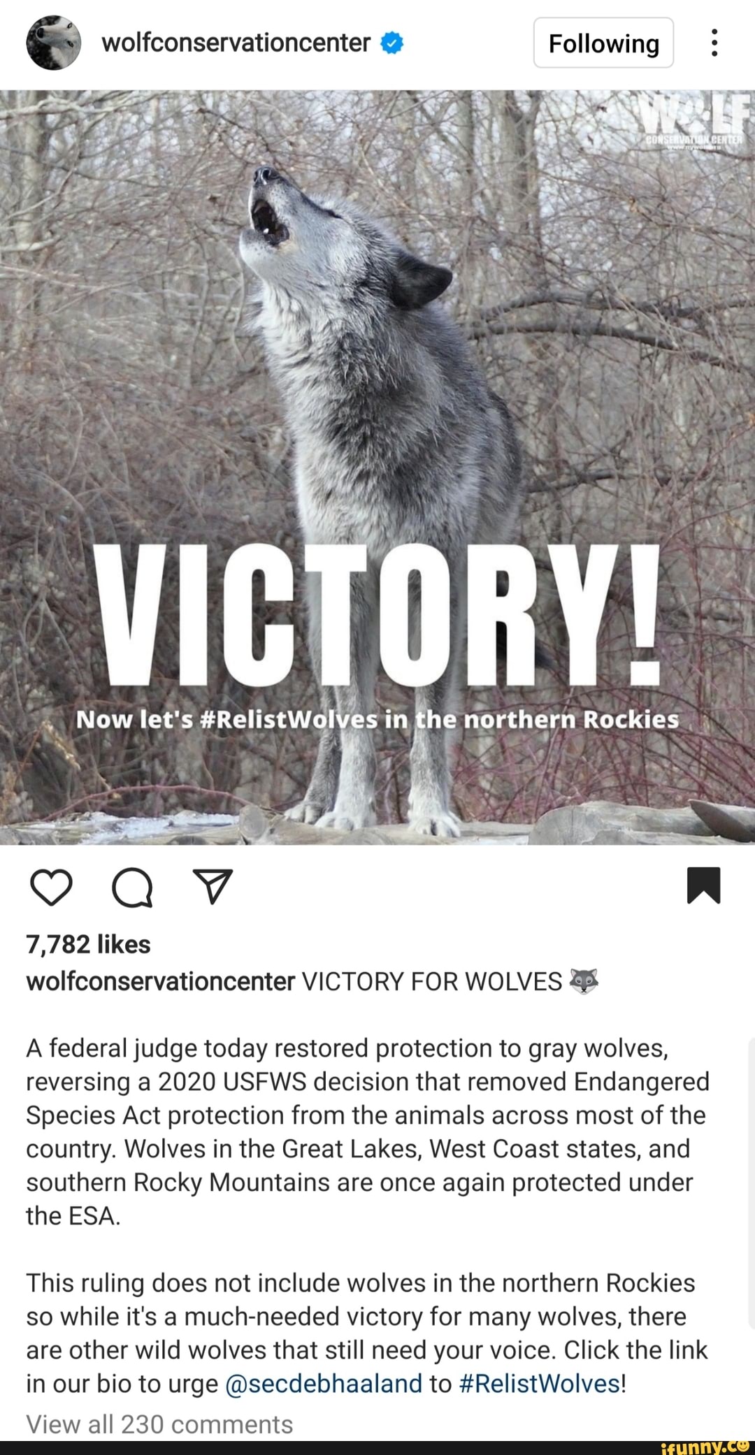 Wolfconservationcenter memes. Best Collection of funny ...