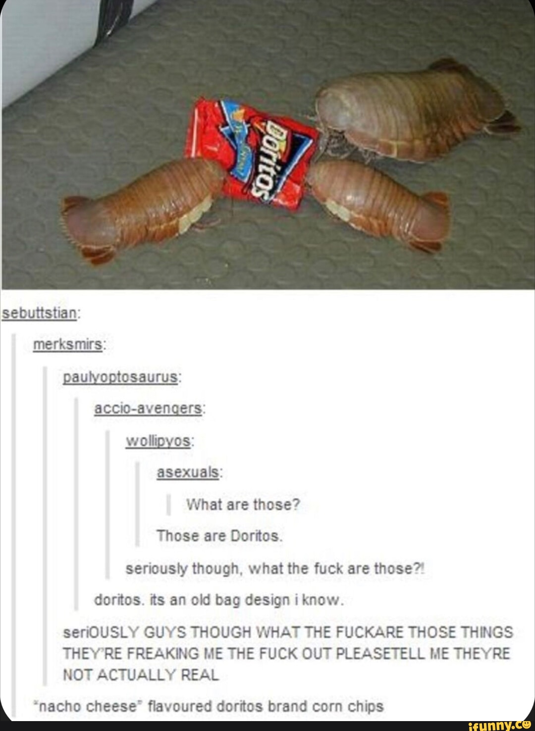 Robertoluongg: in grade 8 i did a power point presentation on “whooping ...