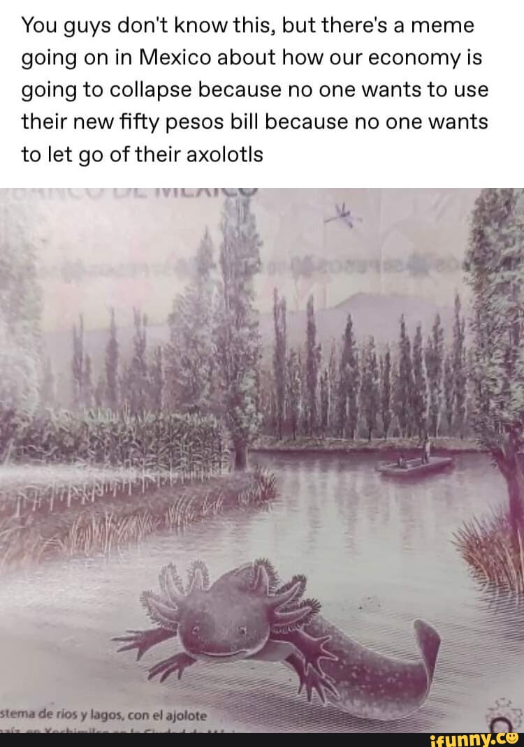 Axolotls memes. Best Collection of funny Axolotls pictures on iFunny