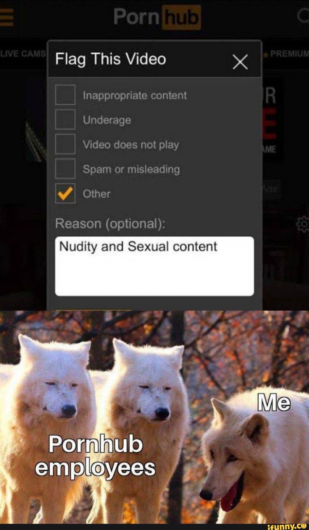 Flag This Video Inappropriate content Underage Video does not play Spam ...