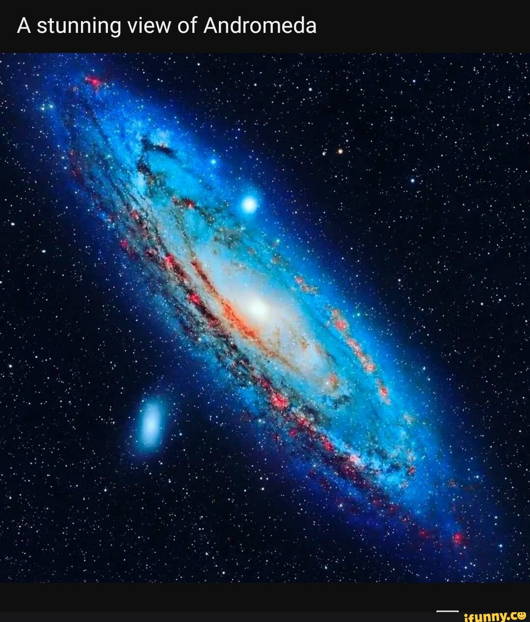 Andromeda memes. Best Collection of funny Andromeda pictures on iFunny