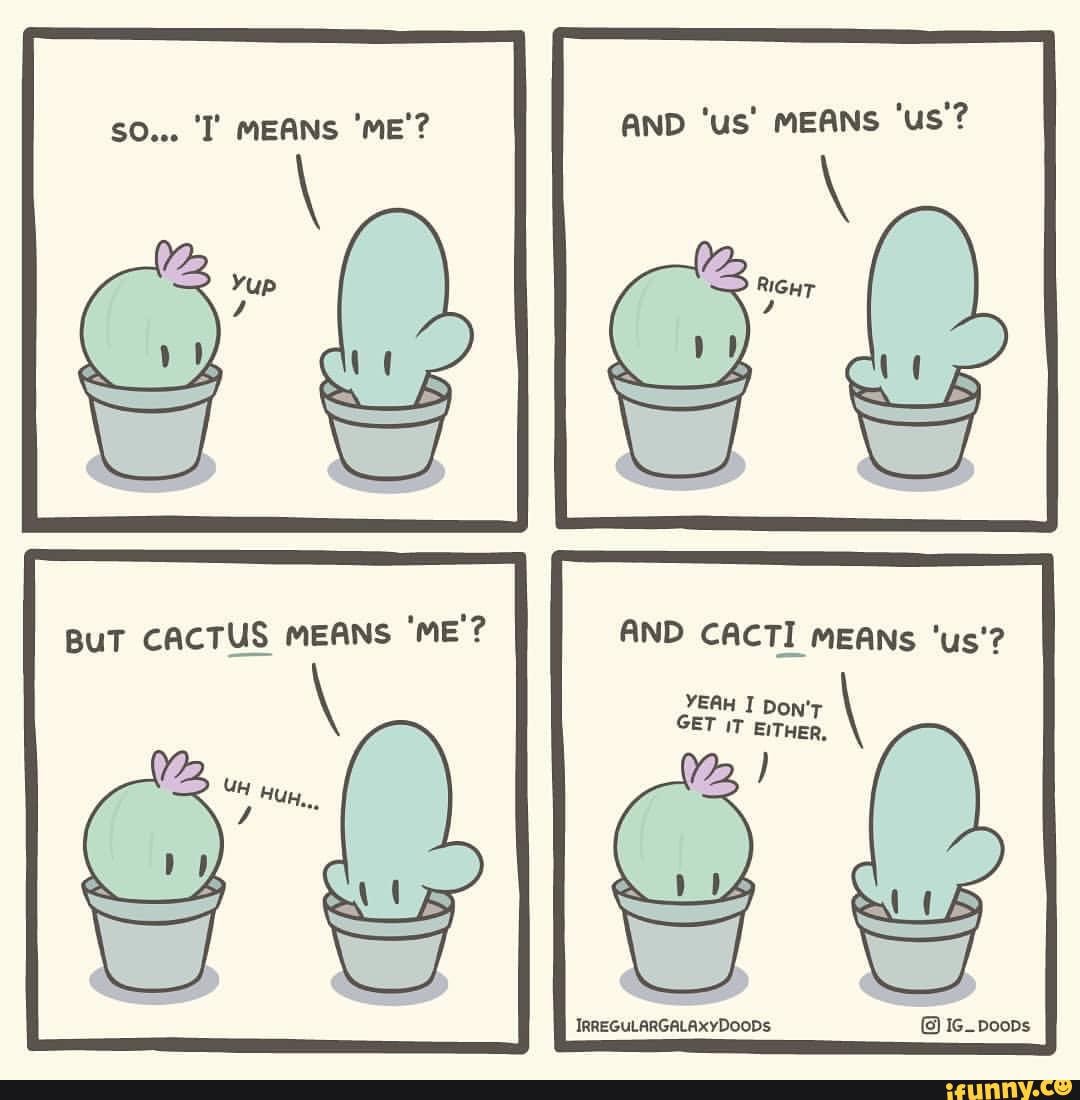 Birthday meme dump! - AND 'us' MEANS 'us'? AND CACTI MEANs 'us'? so ...