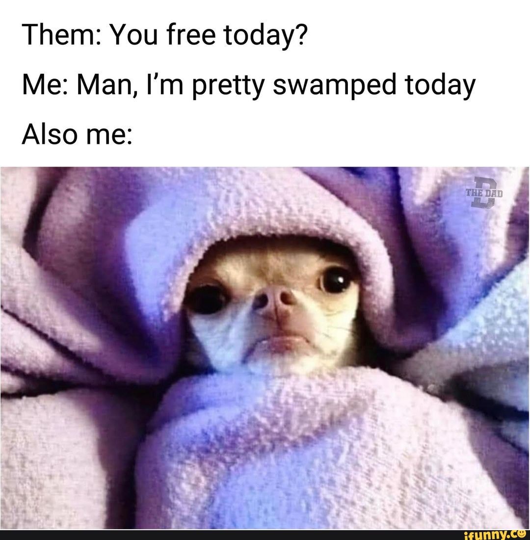 Swamped Memes Best Collection Of Funny Swamped Pictures On Ifunny 