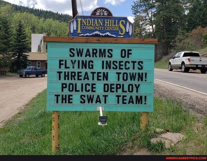 SWARMS OF FLYING INSECTS THREATEN TOWN! POLICE DEPLOY THE SWAT TEAM ...