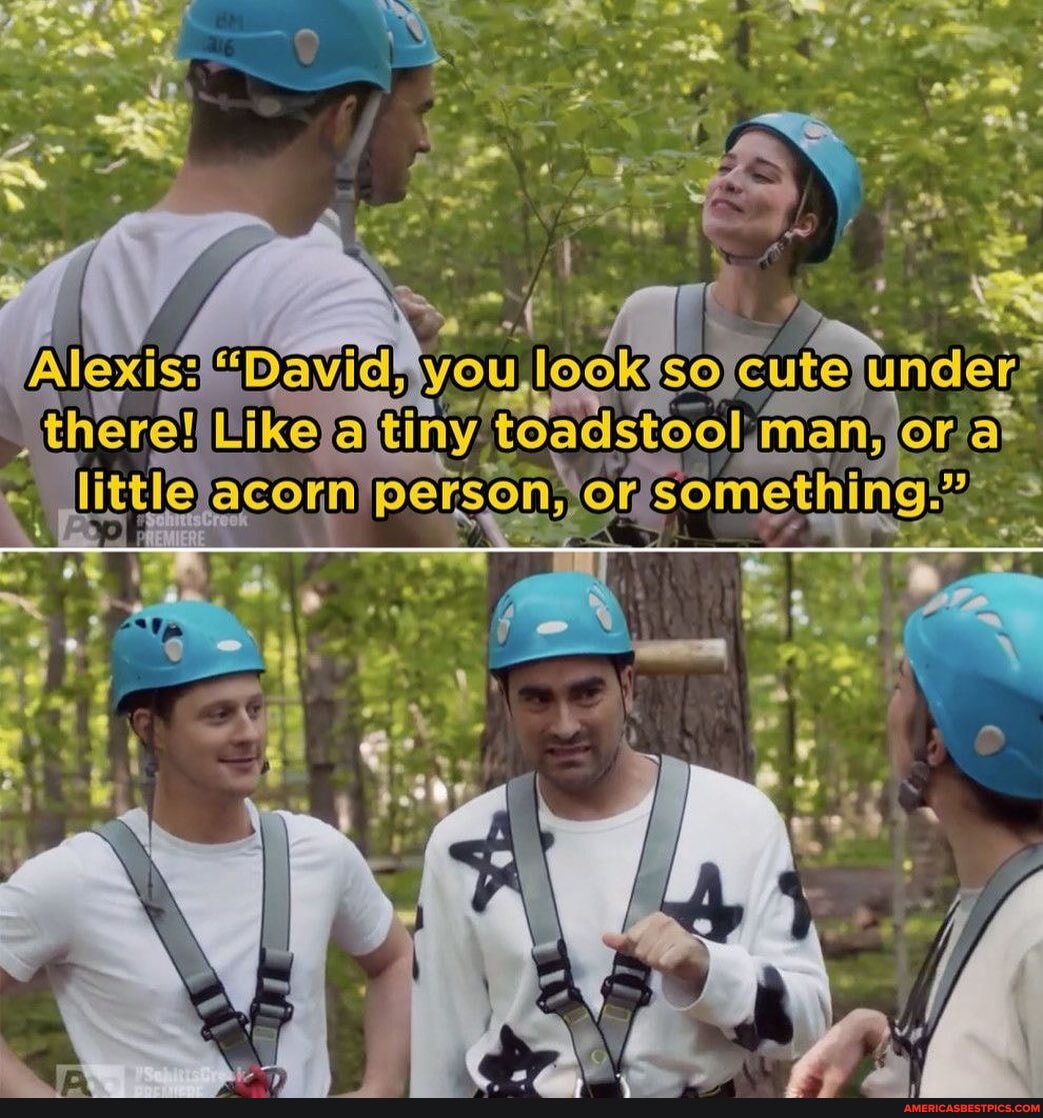 Sitcoms memes memes. The best memes on America’s best pics and videos