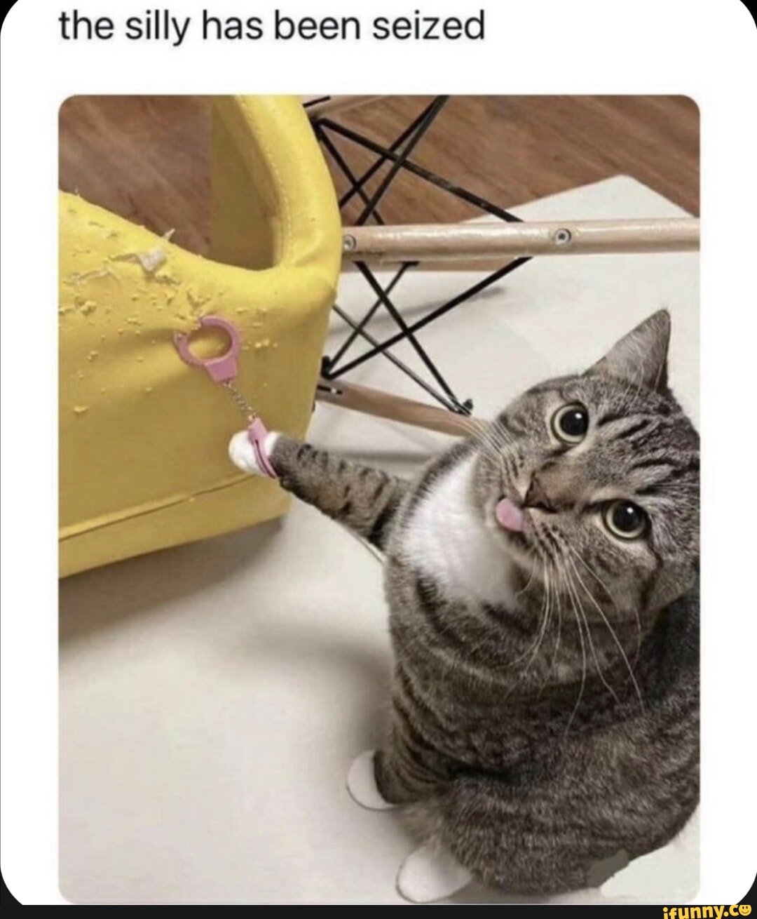 Video memes gMfSSzO9B by RugDealer - iFunny