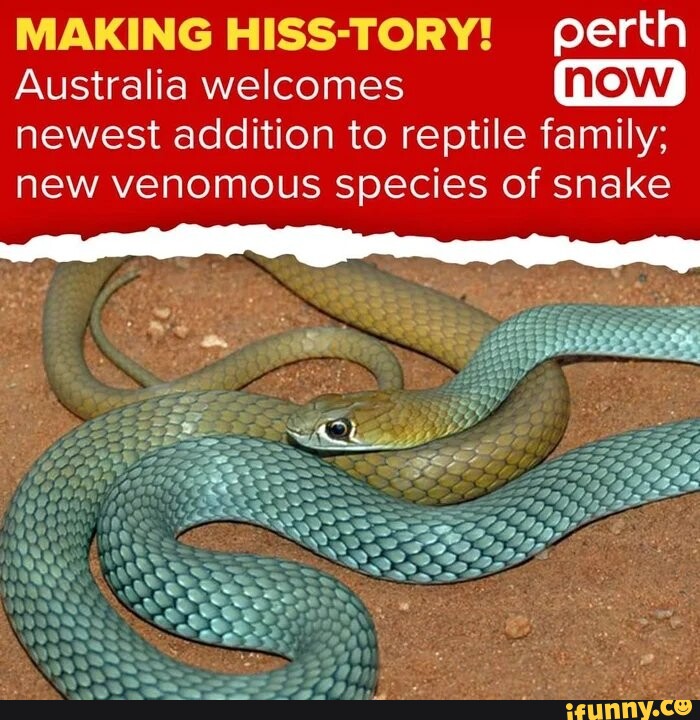 Venomous memes. Best Collection of funny Venomous pictures on iFunny