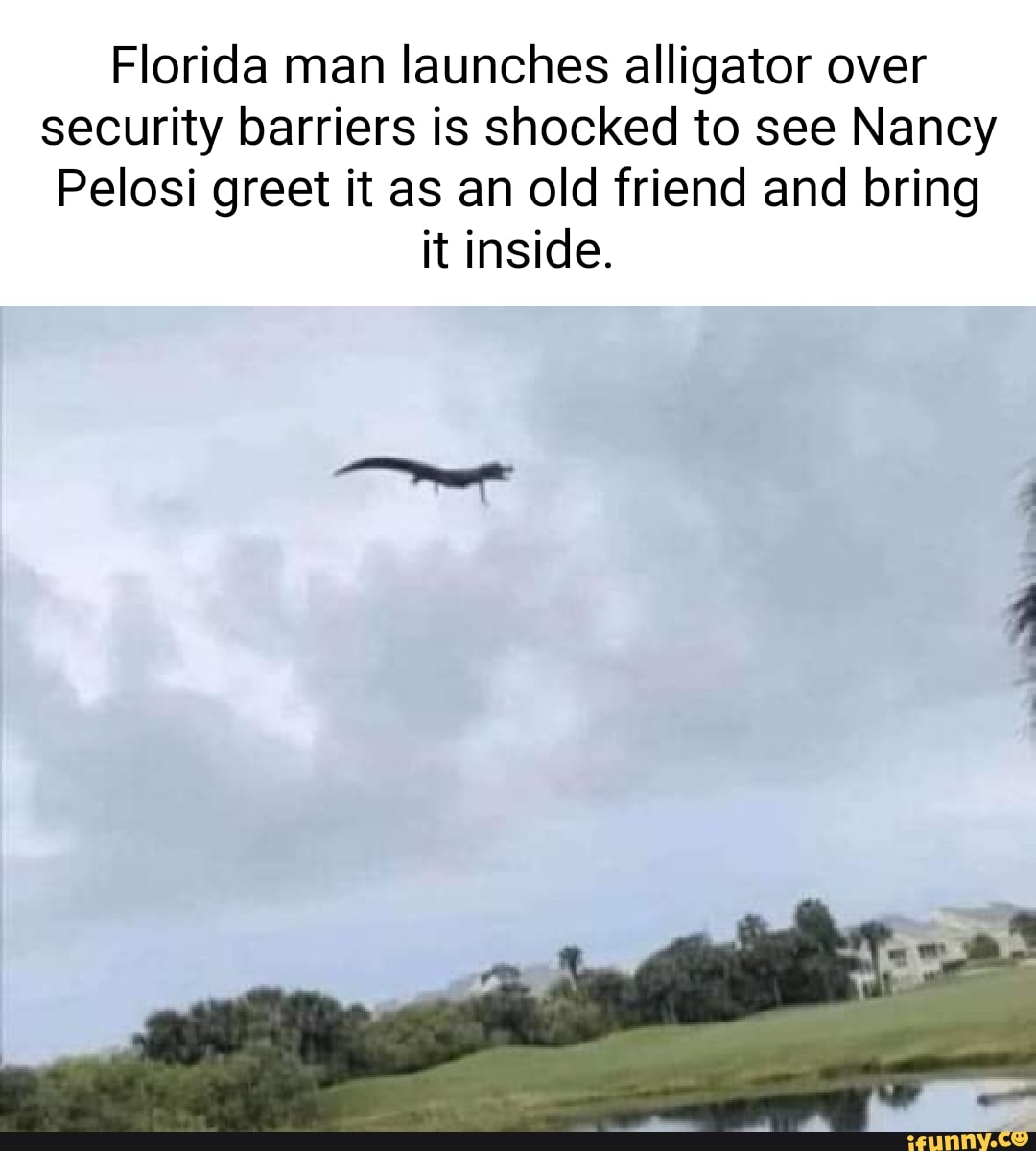 Florida man launches alligator over security barriers is shocked to see ...