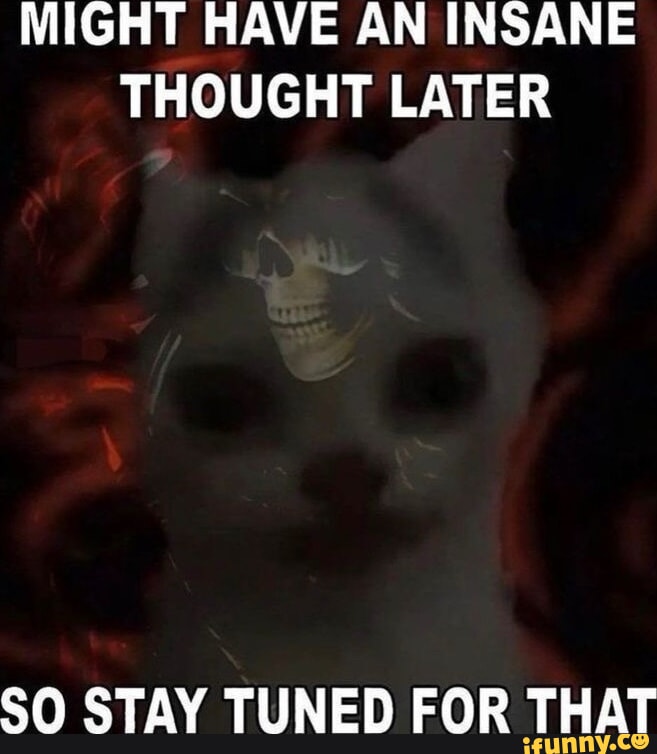 MIGHT HAVE AN INSANE THOUGHT LATER SO STAY TUNED FOR THAT - iFunny