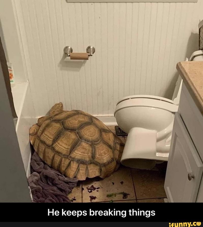 He keeps breaking things - He keeps breaking things - iFunny
