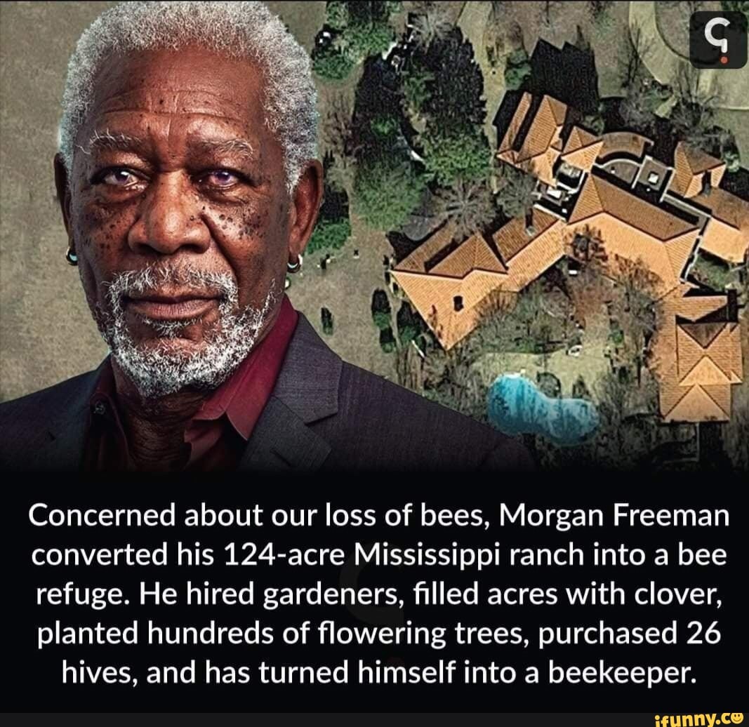 Concerned about our loss of bees, Morgan Freeman converted his 124-acre ...