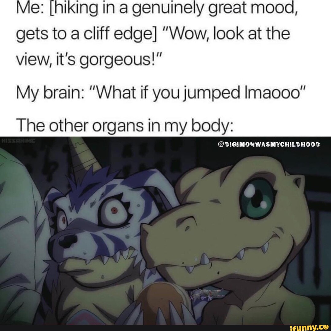 Gabumon memes. Best Collection of funny Gabumon pictures on iFunny