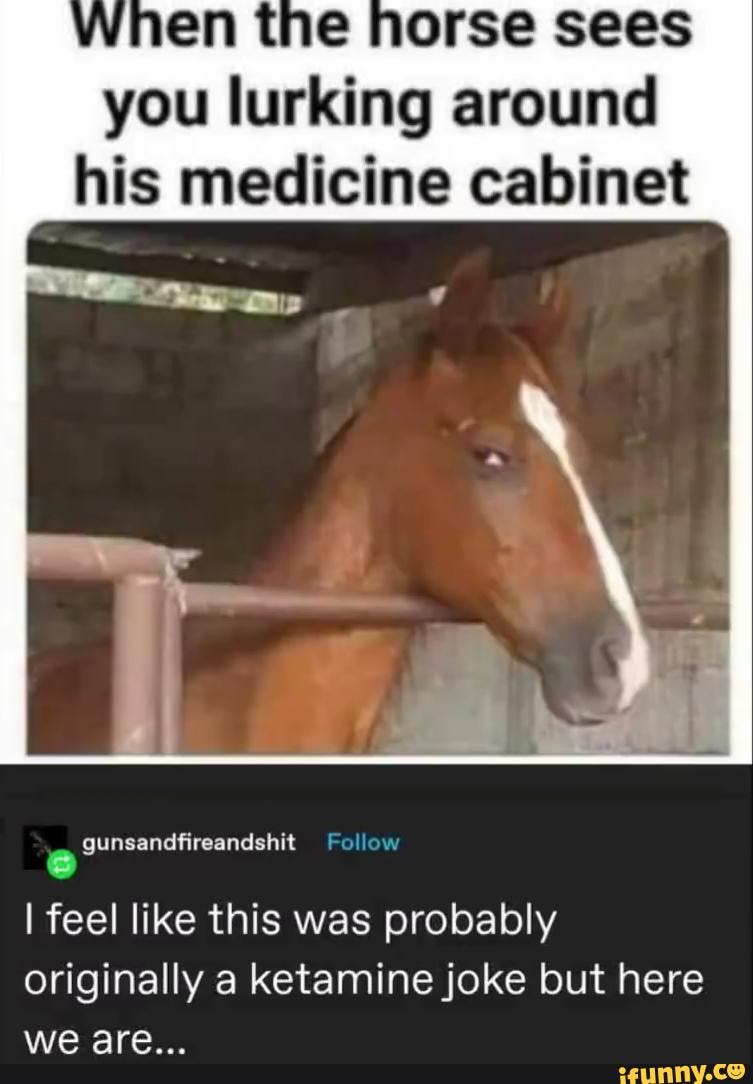 Picture memes F9TCmISe6 by Marina_The_Octoling_2017: 313 comments - )