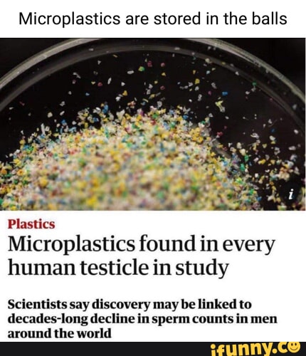 Microplastics are stored in the balls Plastics Microplastics found in ...