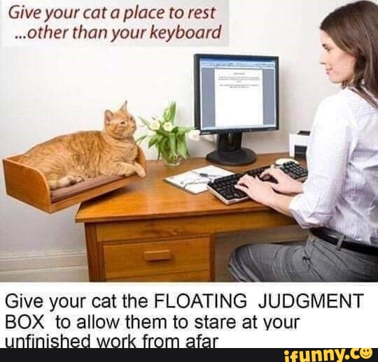 Give your cat a place to rest ..other than your keyboard Give your cat ...
