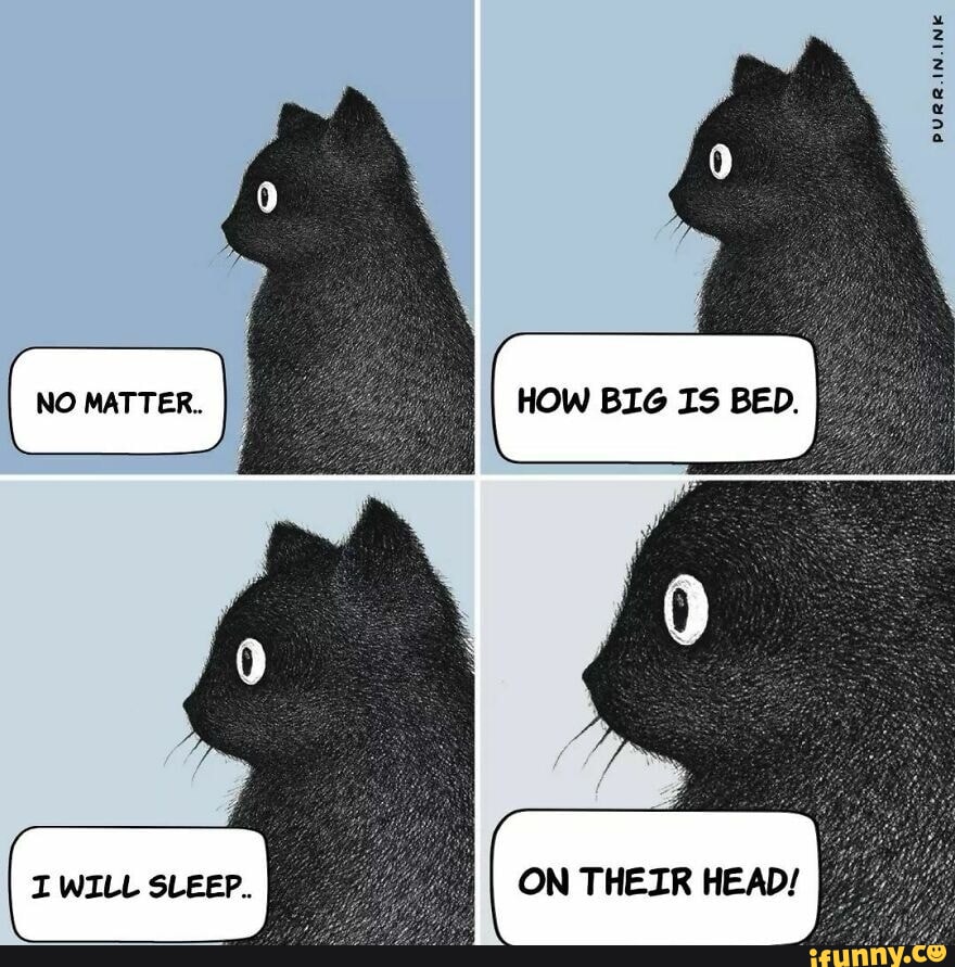 PURR IN INK INK NO MATTER.. I I WILL SLEEP.. HOW BIG IS BED. ON THEIR ...