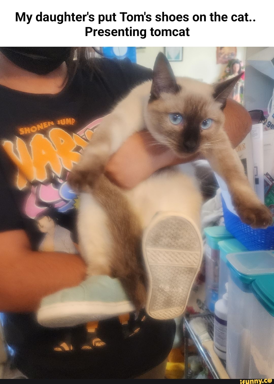 My daughter's put Tom's shoes on the cat.. Presenting tomcat - iFunny