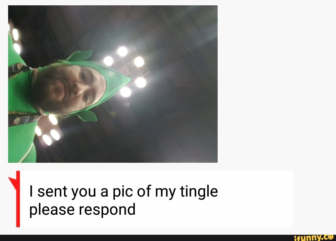 Game Memes and Game Meme Accessories - sent you a pic of my tingle ...