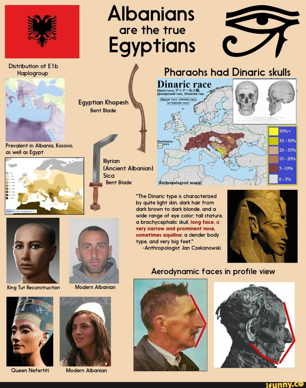 Dinaric memes. Best Collection of funny Dinaric pictures on iFunny