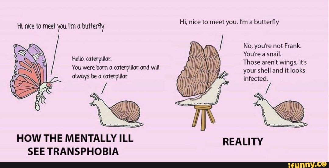 Hi nice to meet you Ima butterfly Hi, nice to meet you. I'm a butterfly ...