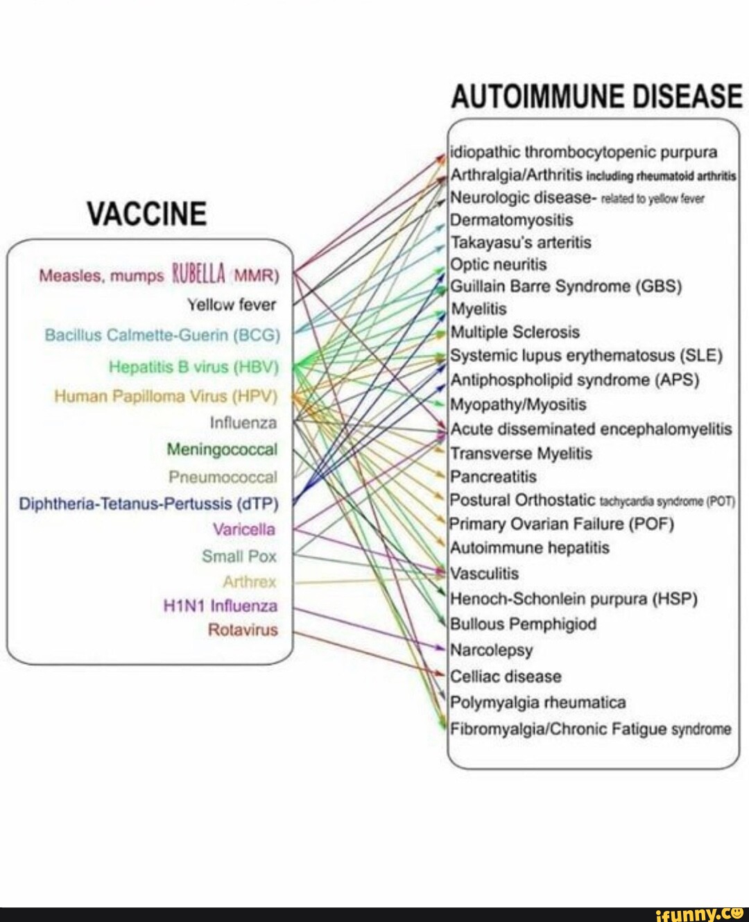 VACCINE Measles, mumps {UBELLA MMR) Yellow fever Bacillus Calmette ...