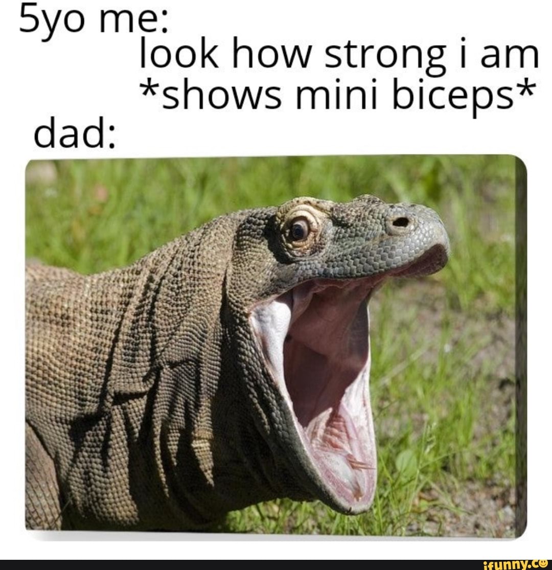 Syo me: look how strong i am *shows mini biceps* dad: - iFunny