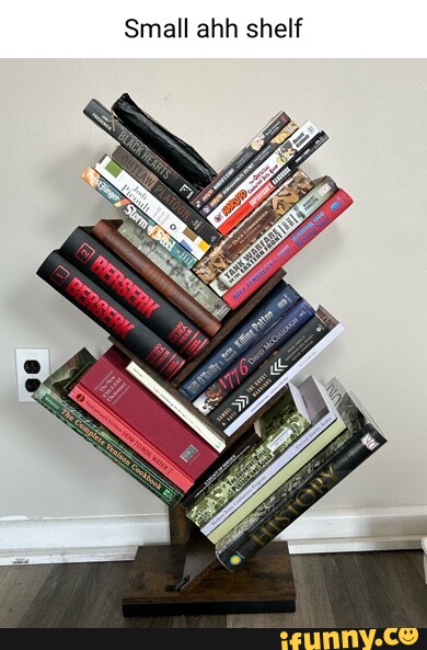 Small ahh shelf - iFunny