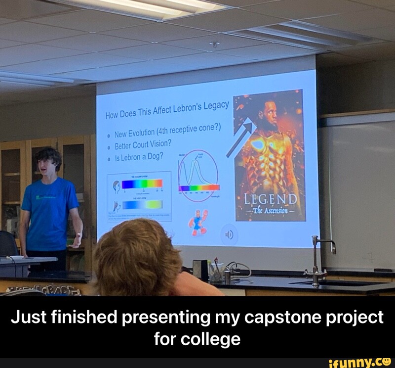 Capstone memes. Best Collection of funny Capstone pictures on iFunny