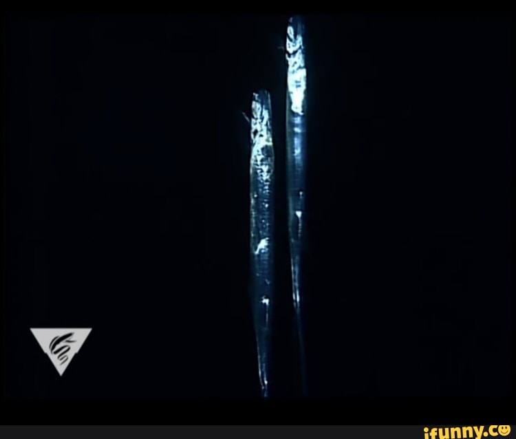 These nightmare fuel deep sea creatures look much nicer when they’re ...