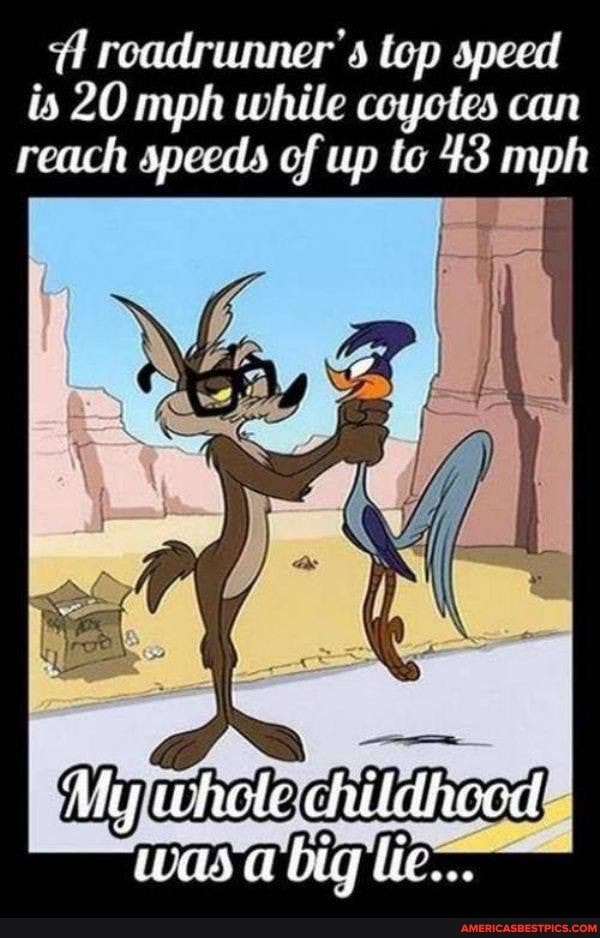 Ff roadrunner's top speed is 20 mph while coyotes can reach speeds of ...