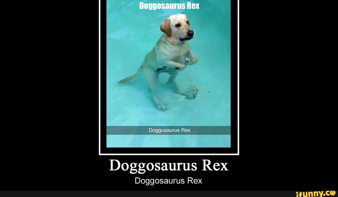 Doggosaurus Rex Doggosaurus Rex Doggosaurus Rex Doggosaurus Rex - iFunny