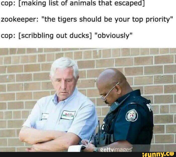 Picture memes gBd5Ug3Y6 by ComicSquad_2015: 89 comments - iFunny