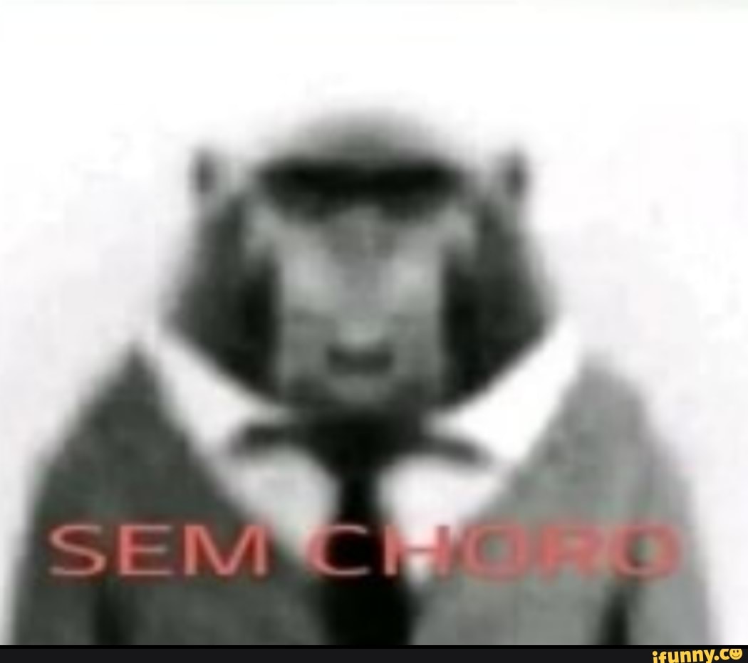 Memes de imagem W1NmXeqA9 por ahehhh: 22 comentários - iFunny Brazil