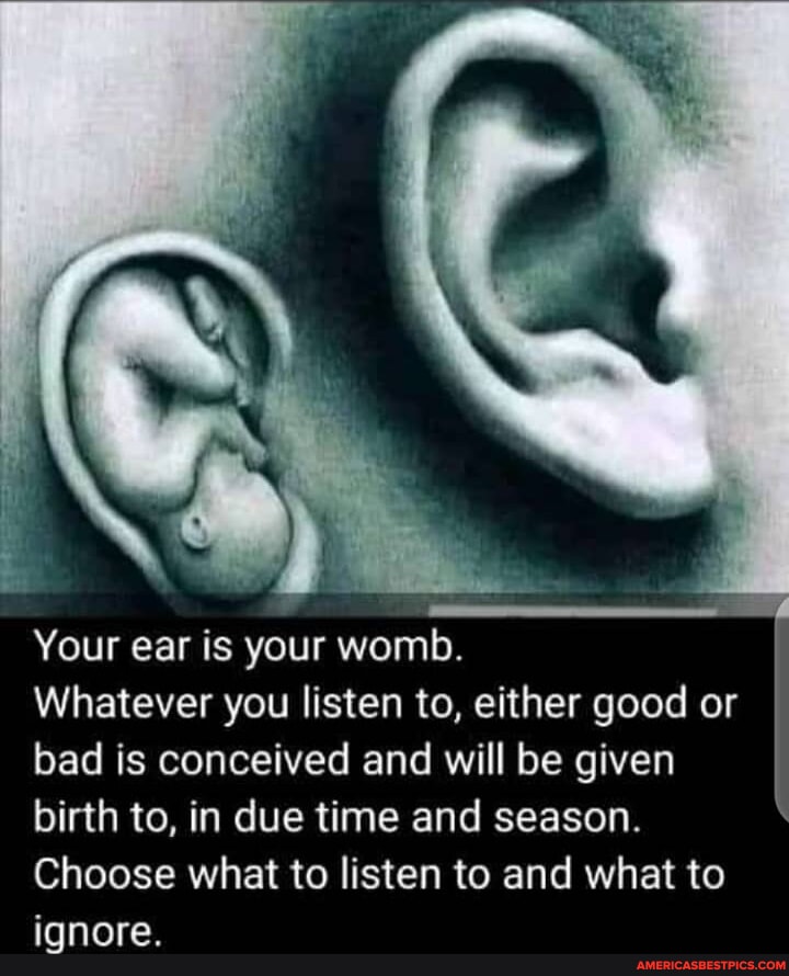 Your ear is your womb. Whatever you listen to, either good or bad is ...