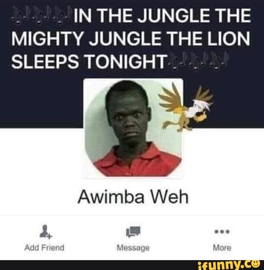 IN THE JUNGLE THE MIGHTY JUNGLE THE LION SLEEPS TONIGHT Awimba Weh 4 ...