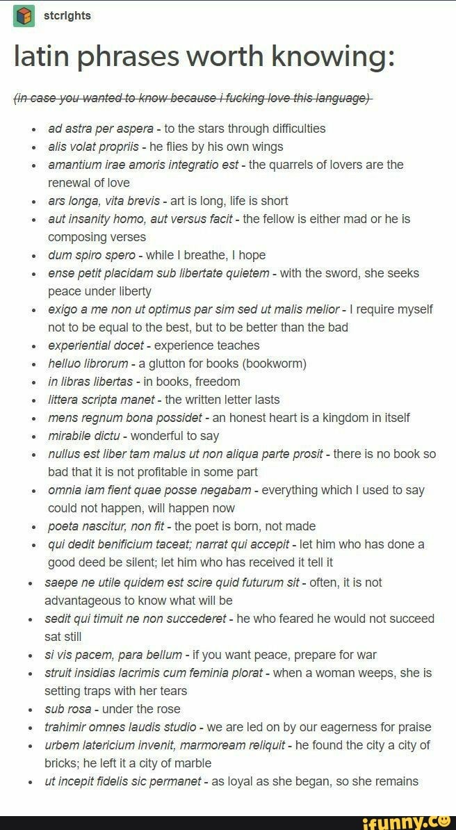 Sterights latin phrases worth knowing: be fi love -this-4 wanted -to ...