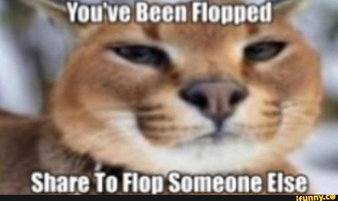 You've Been Flopped Share To Flop Someone Else - iFunny