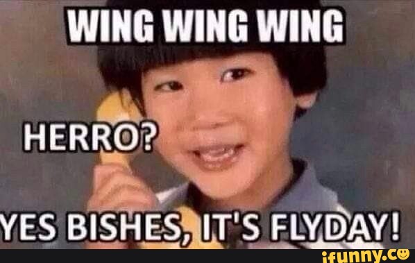 Funny Fly Day Memes