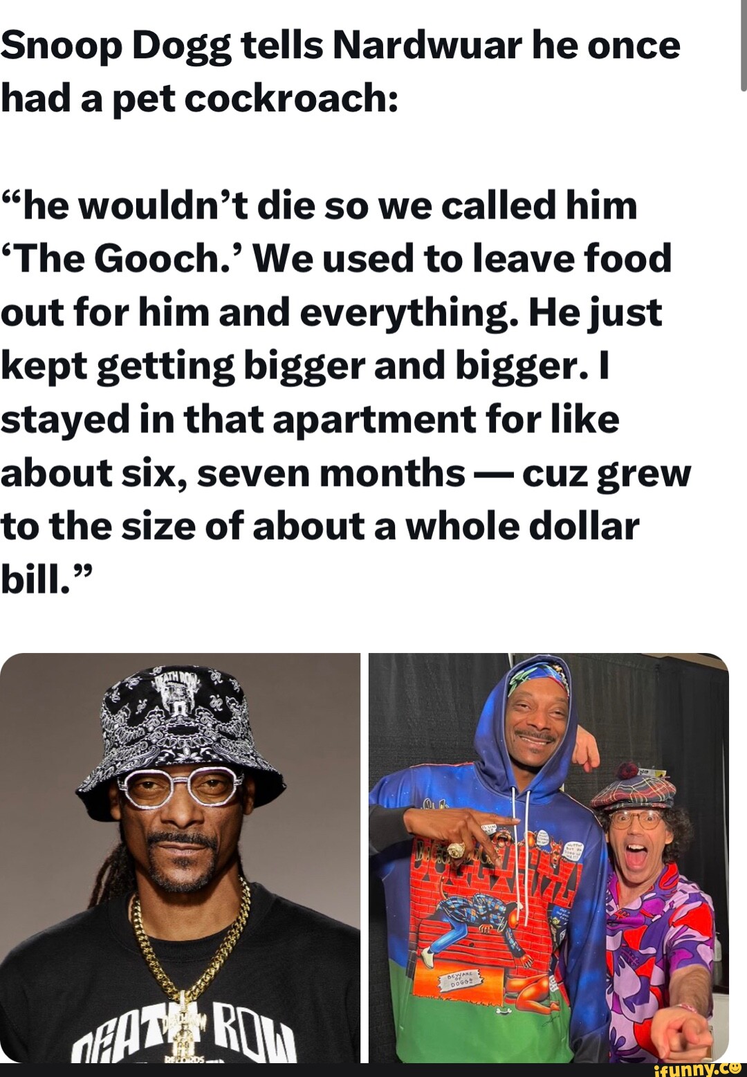 Nardwuar memes. Best Collection of funny Nardwuar pictures on iFunny