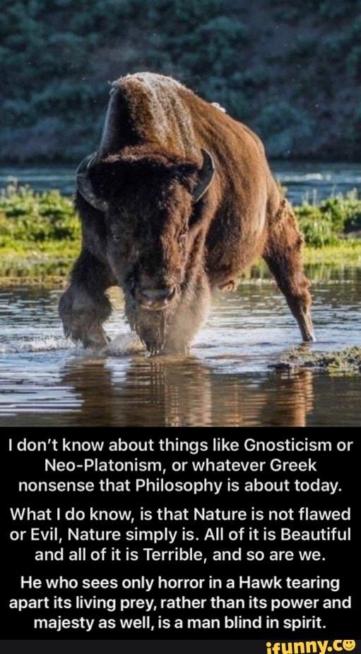 Platonism memes. Best Collection of funny Platonism pictures on iFunny