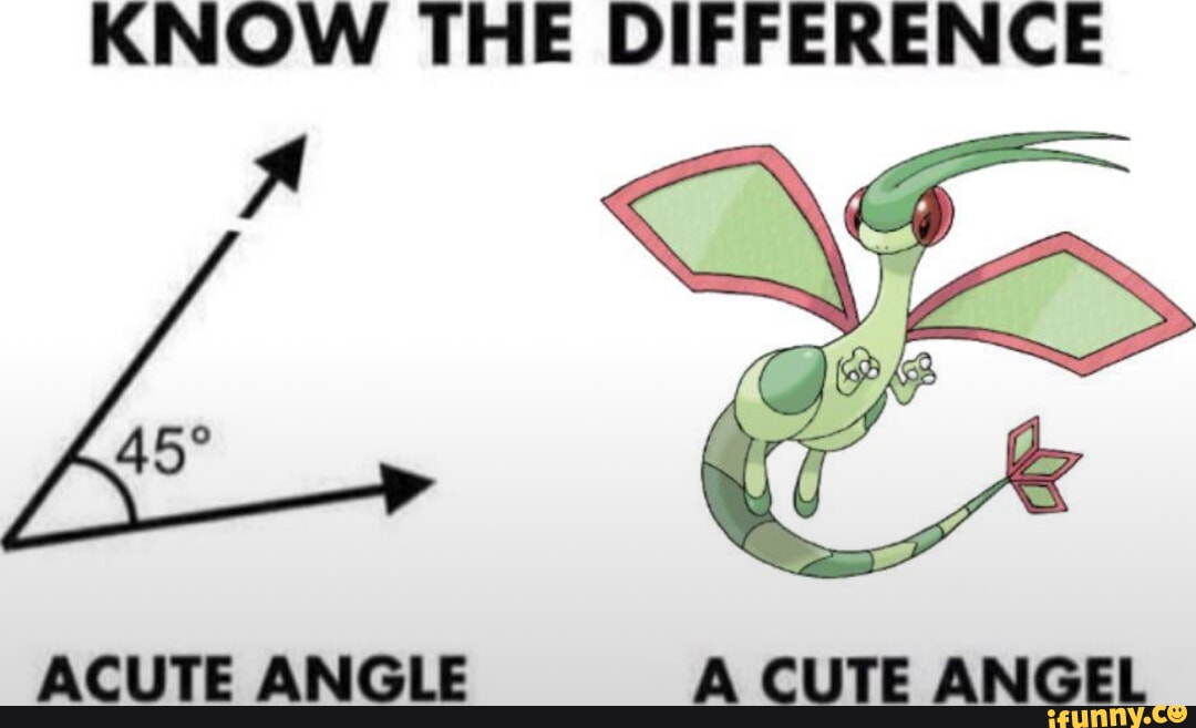 KNOW THE DIFFERENCE ACUTE ANGLE A CUTE ANGEL - iFunny
