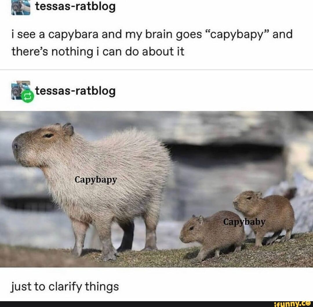 I see a capybara and my brain goes "capybapy" and there's nothing i can ...