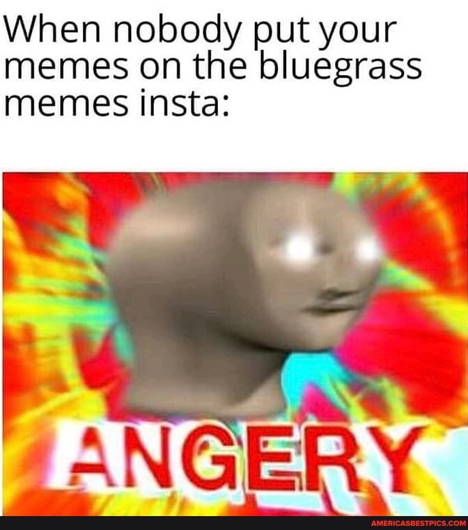 When nobody put your memes on the bluegrass memes insta: - America’s ...