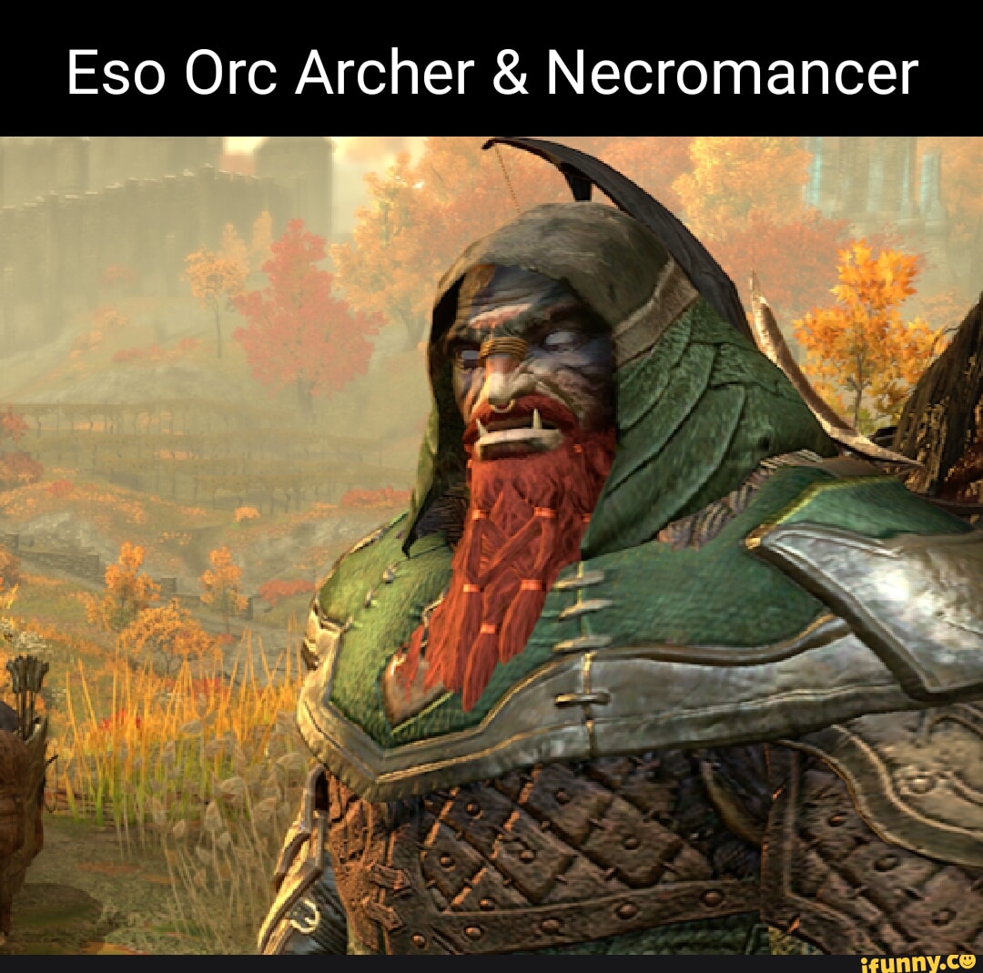 Necromancer memes. Best Collection of funny Necromancer pictures on iFunny