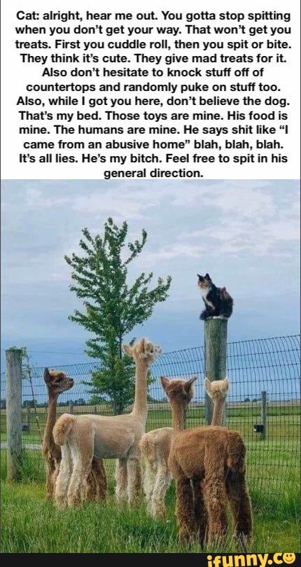 Spitting memes. Best Collection of funny Spitting pictures on iFunny